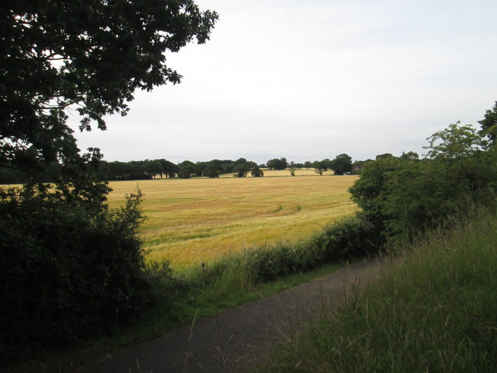 A27 | The Chichester Society